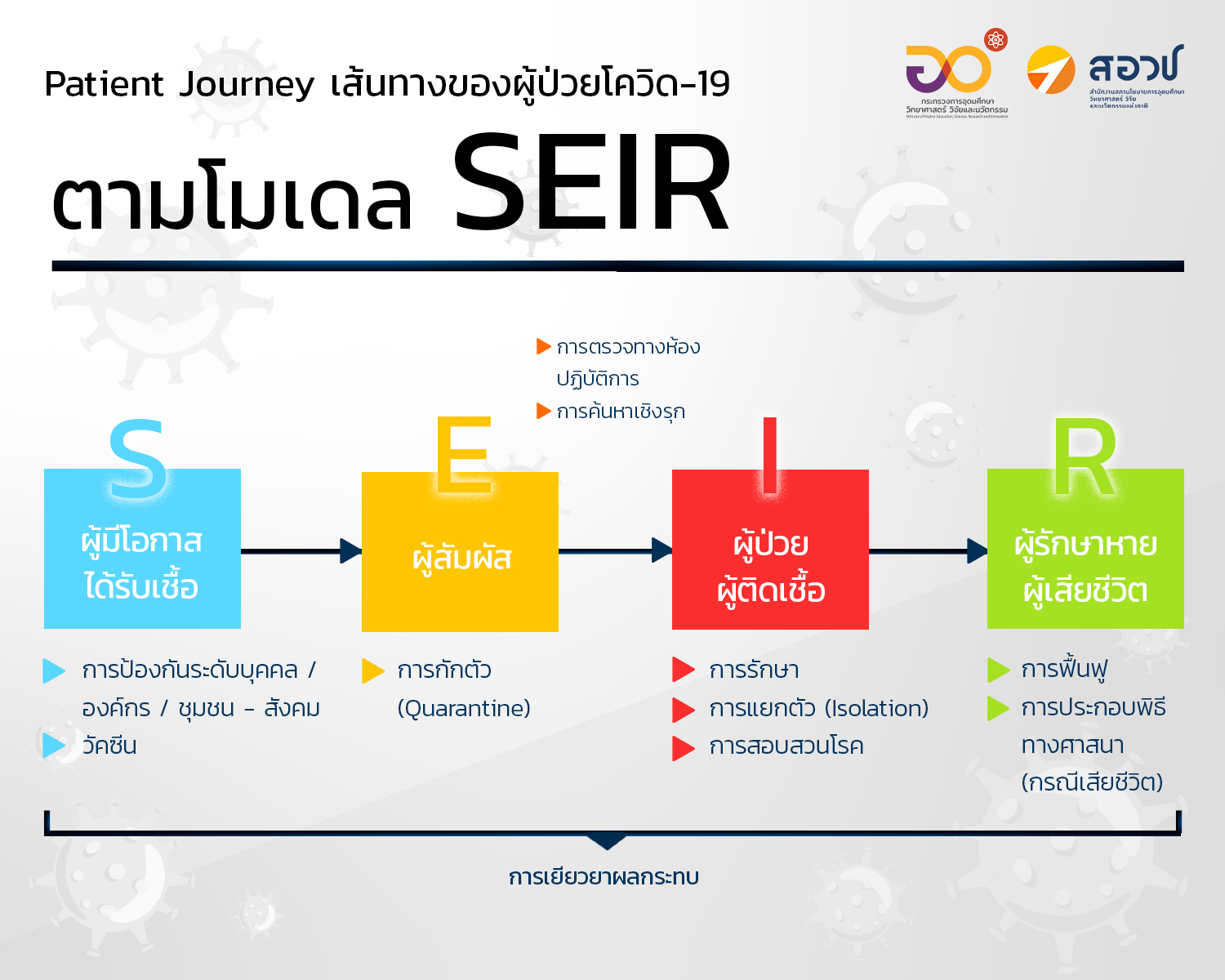 ชวนทำความเข้าใจ Patient Journey เส้นทางของผู้ป่วยโควิด-19 ตามโมเดล SEIR ...